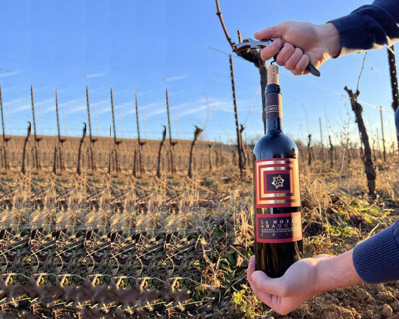 Affordable Alcohol & Wine Delivery Singapore | Wines Online